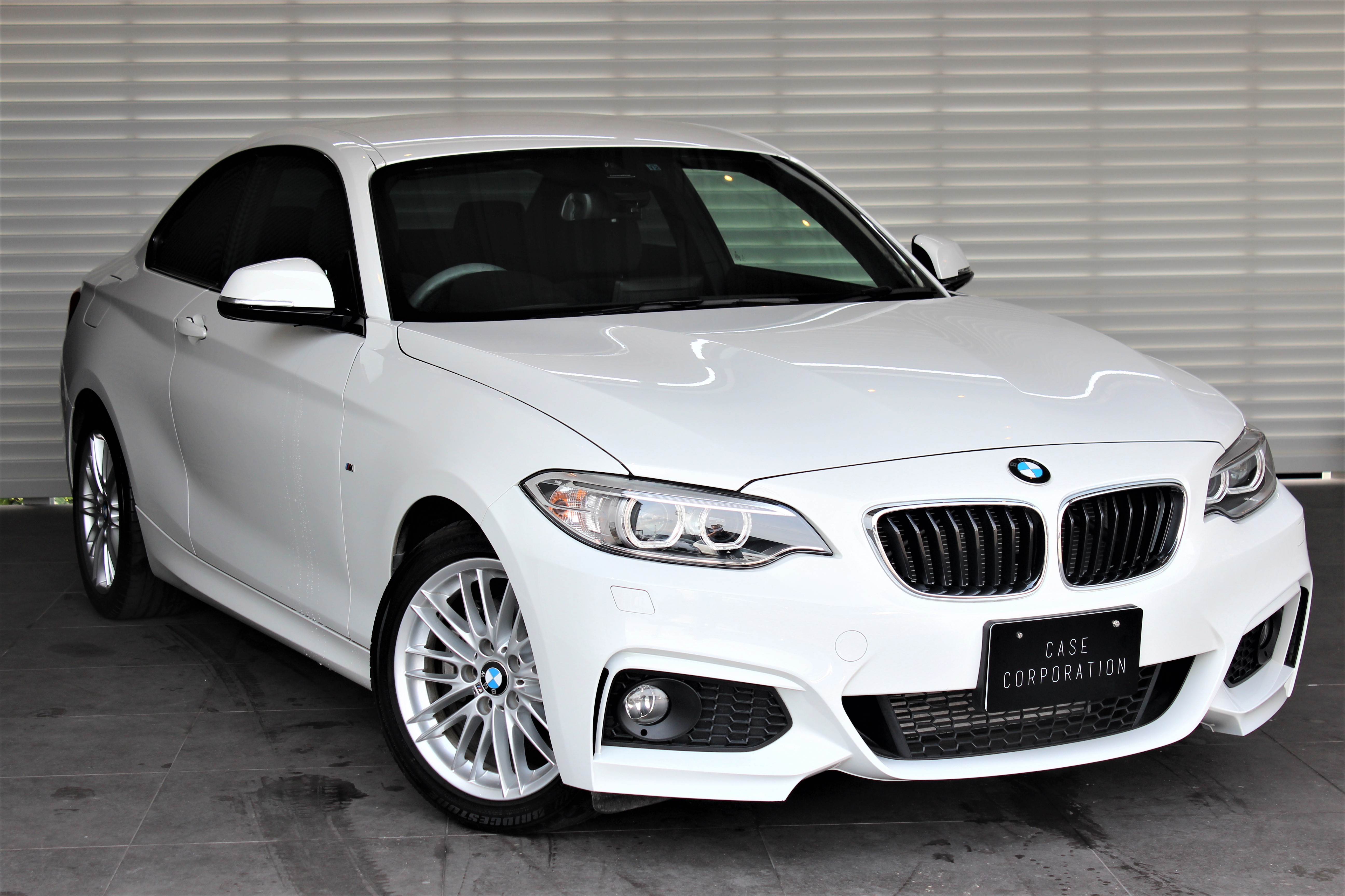 写真 - CASE CORPORATION